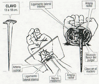Mas Capsulas Mas Nutrición Mas Lectura: La Iglesia Dudas y Datos Curiosos