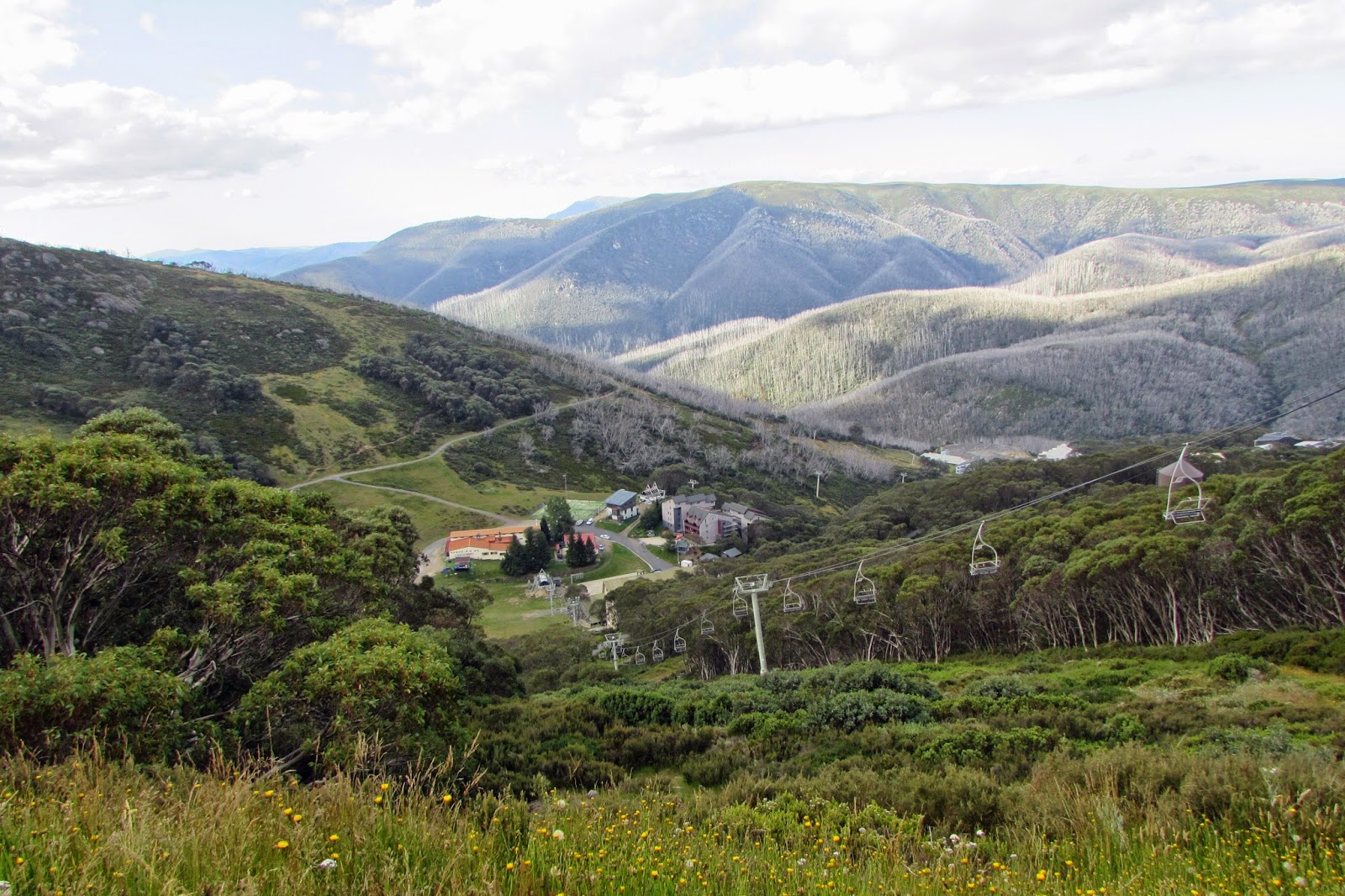 To Travel is to Live: Victorian Alps