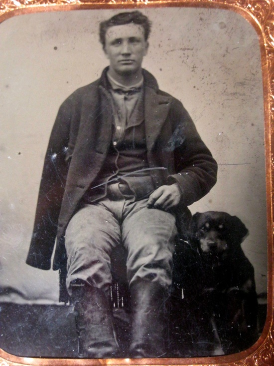 historia i ja: The Civil War & dogs