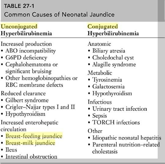 Klinik Taqwa Bangi: PROLONGED NEONATAL JAUNDICE
