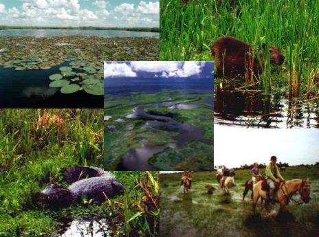 Lugares Turisticos en Argentina: Esteros del Iberá - Corrientes
