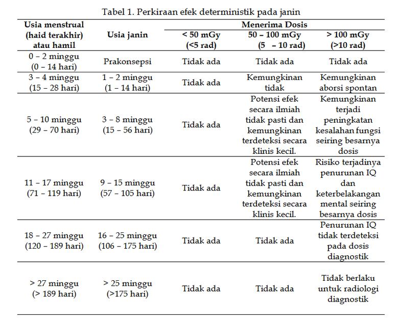 Skrining Kehamilan untuk Wanita Usia Subur dan Hamil sebelum ...