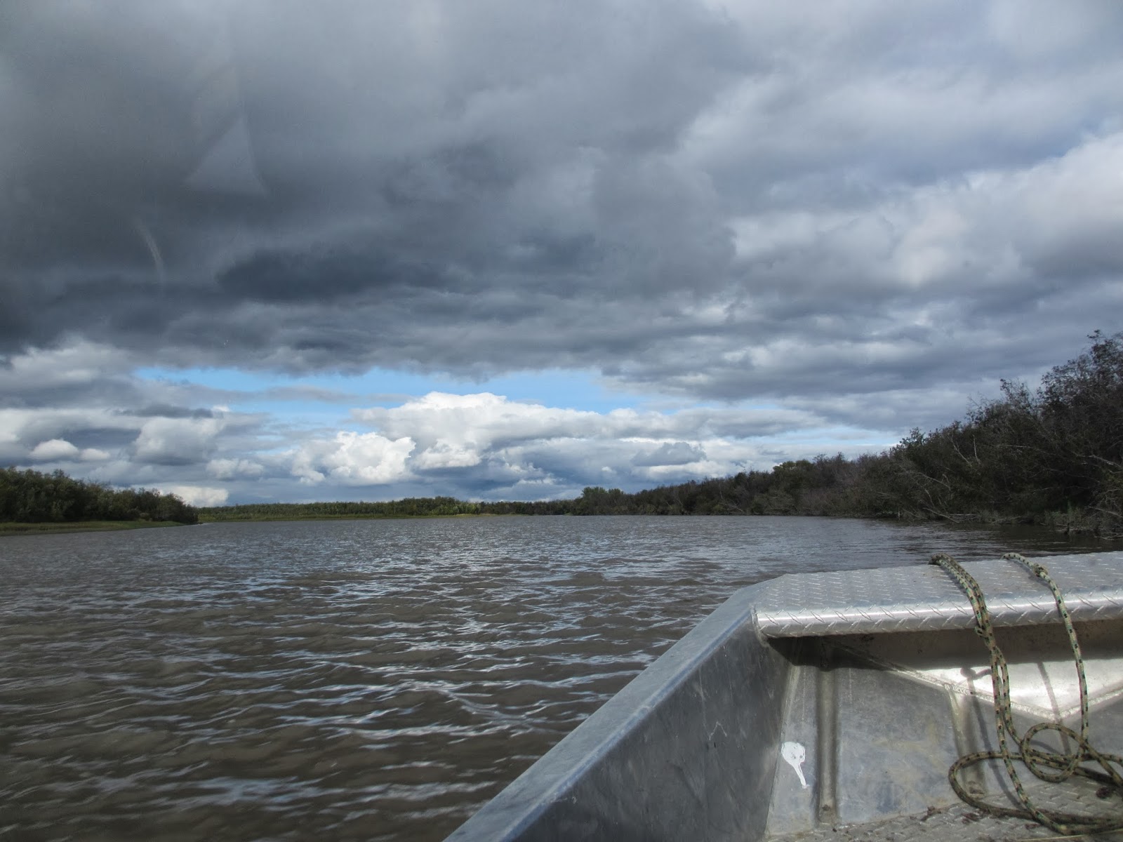 Partners Center of Expertise in Global and Community Health: Alaska ...