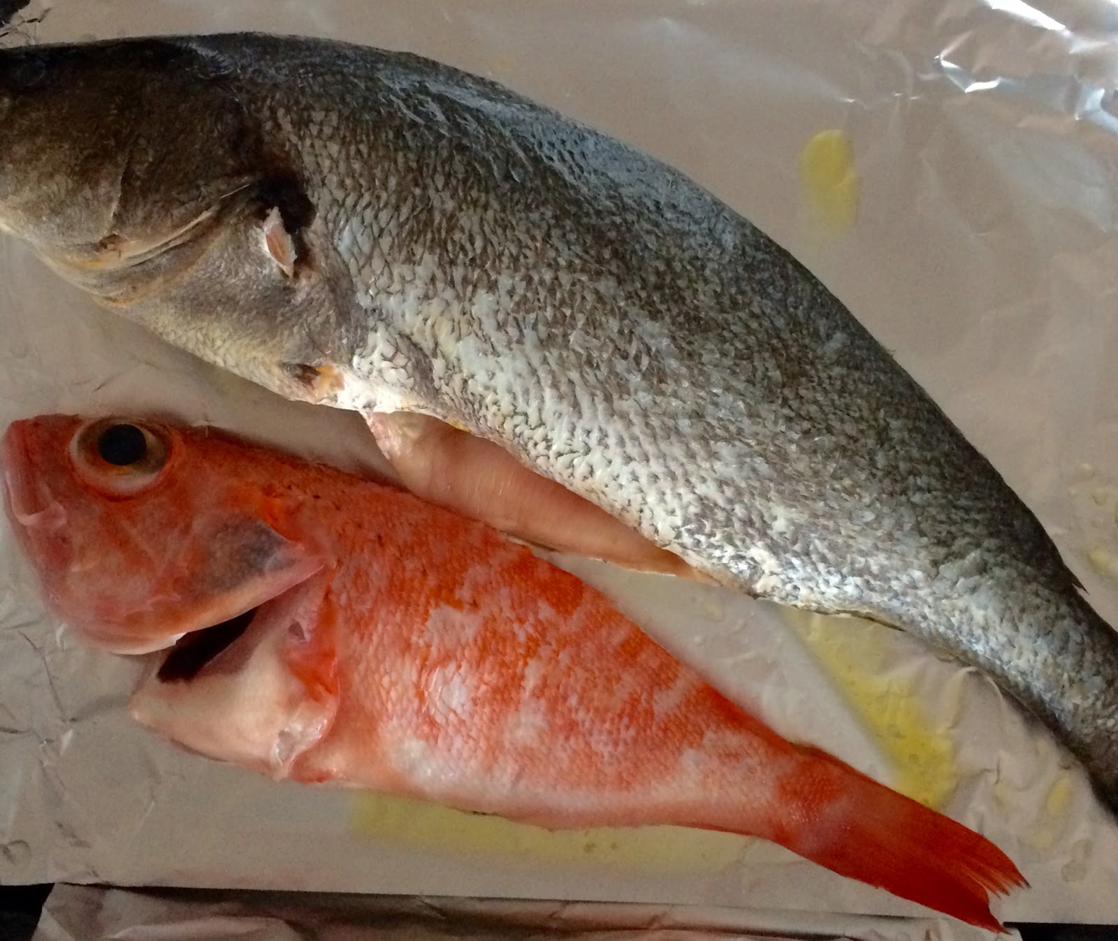 John's Blog: SCORPIONFISH