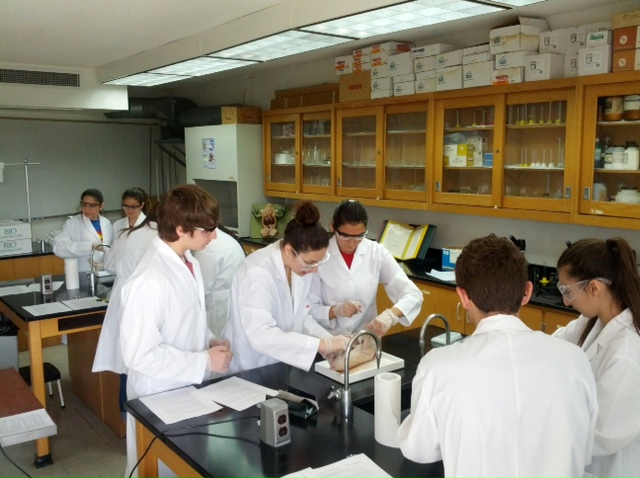Armenian Mesrobian School: BIOLOGY CLASS WORKING IN THE SCIENCE LAB