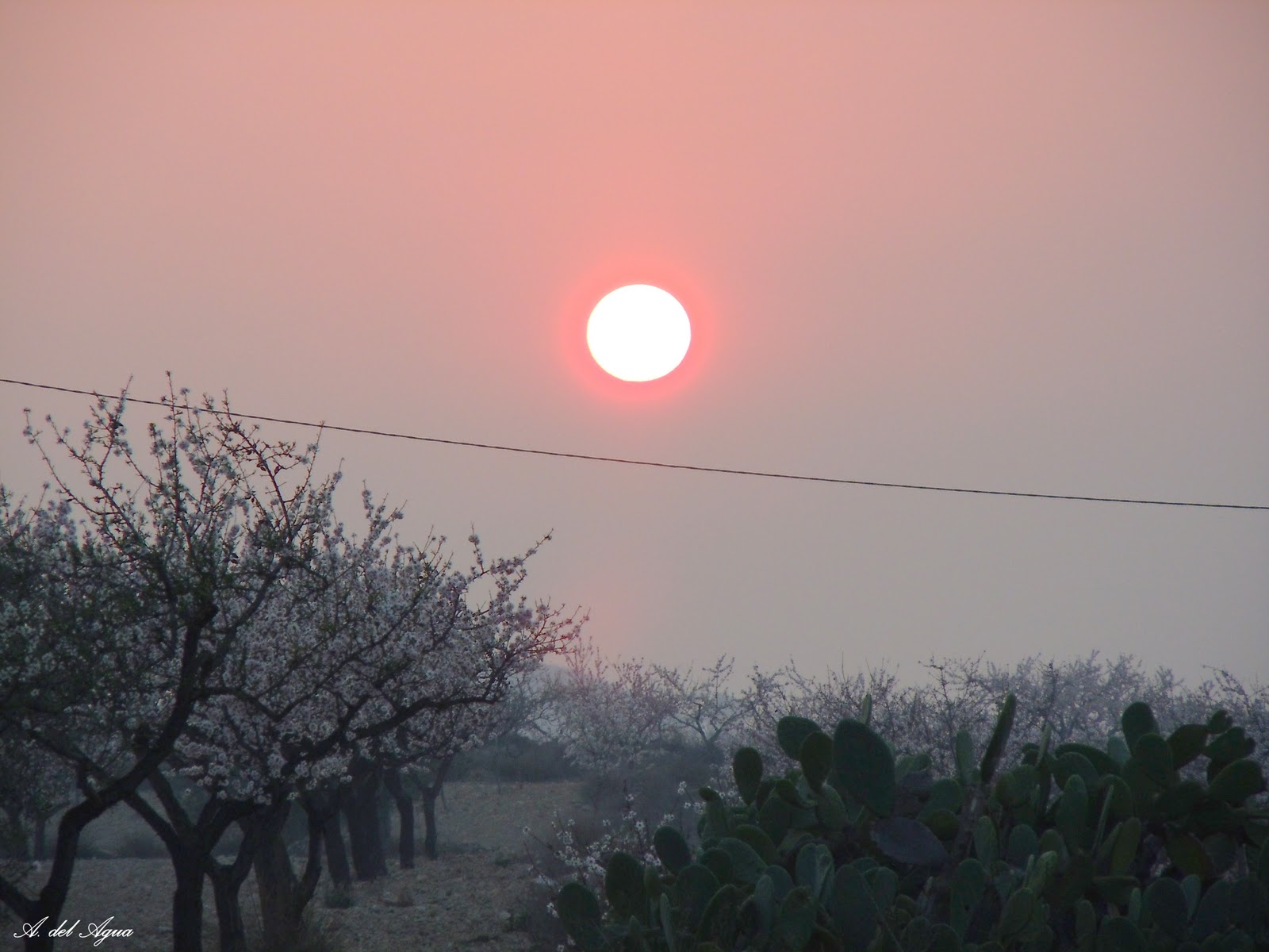 ANADELAGUA: SOL ROJO