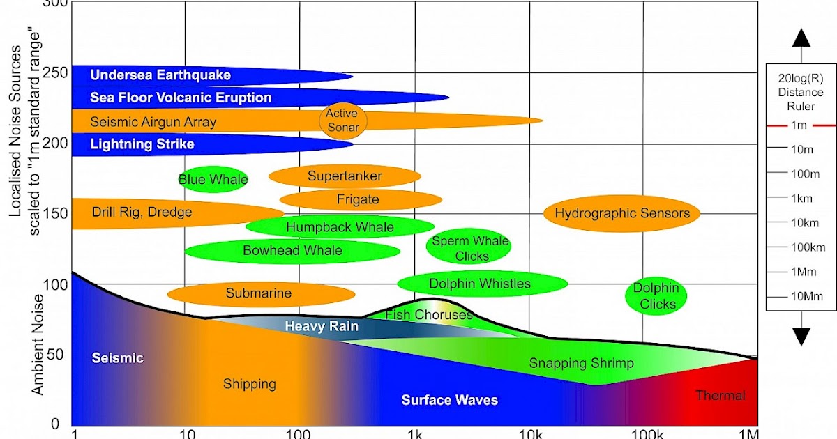 Virginia Tech Ichthyology Class : Anthropogenic Interference in Goby ...