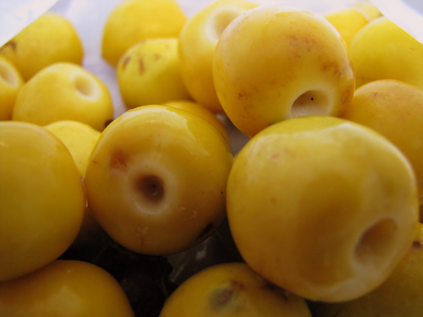 Gastronomía a Libreta Abierta, [=I=]: Nanche