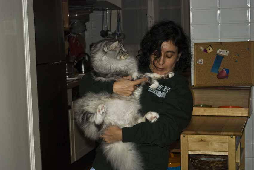 GASPAR Y FAMILIA: ... explicando como se pronuncia New York a Gaspar ...