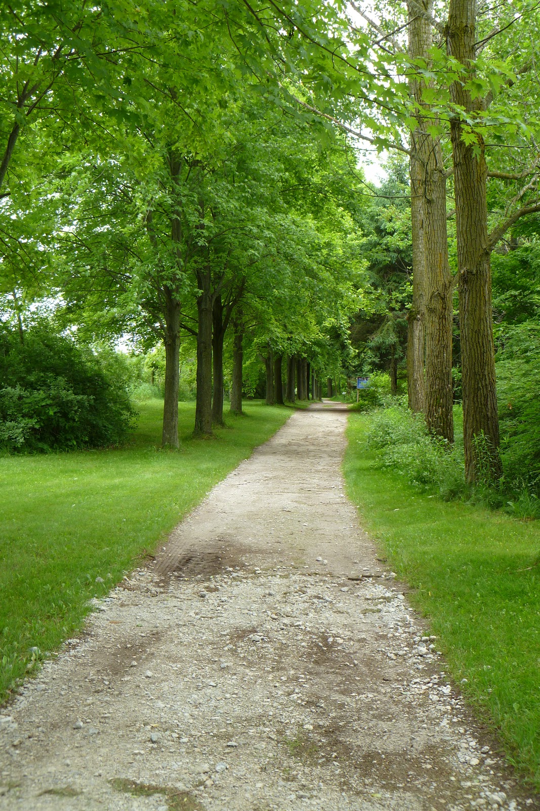 Outdoor Adventurers: Mountsberg Conservation Area