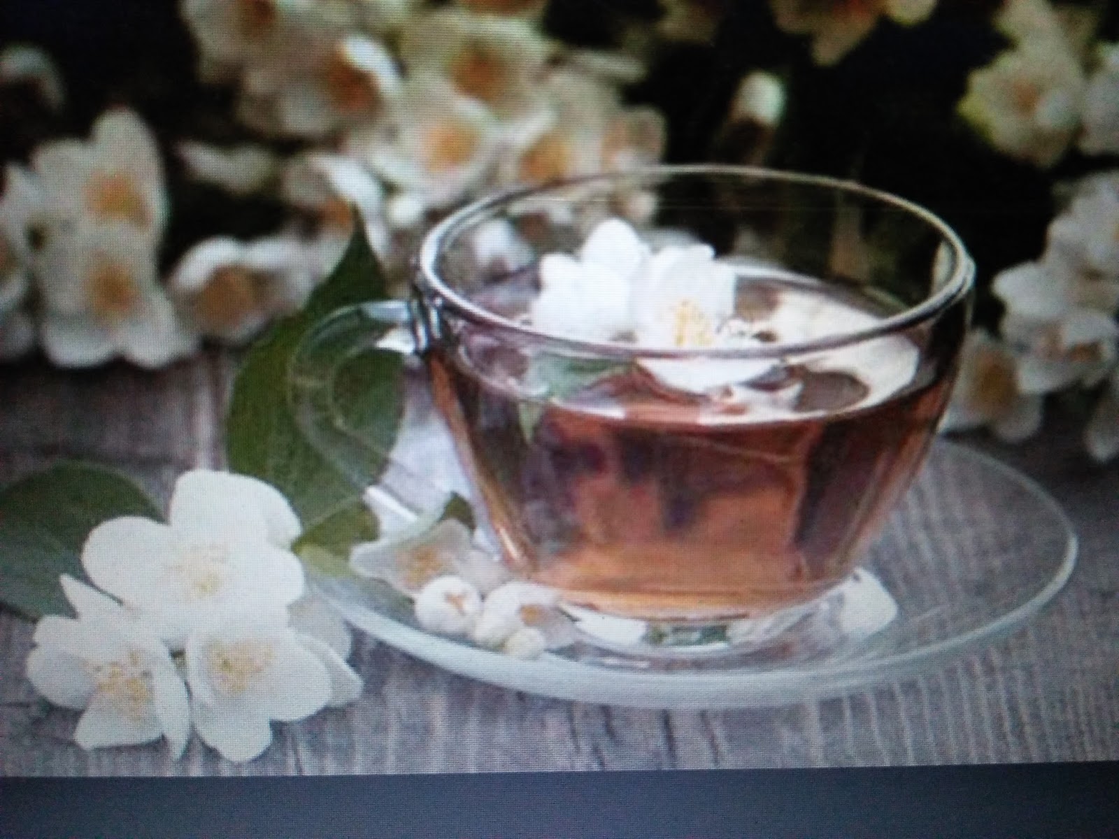 Fuziah Sulaiman blog: Jom kenali Flora BUNGA MELATI - BUNGA MELUR ...