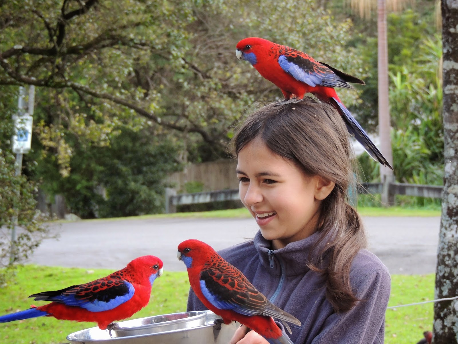 birdgirl: Birdgirl Mya-Rose Craig and the Media