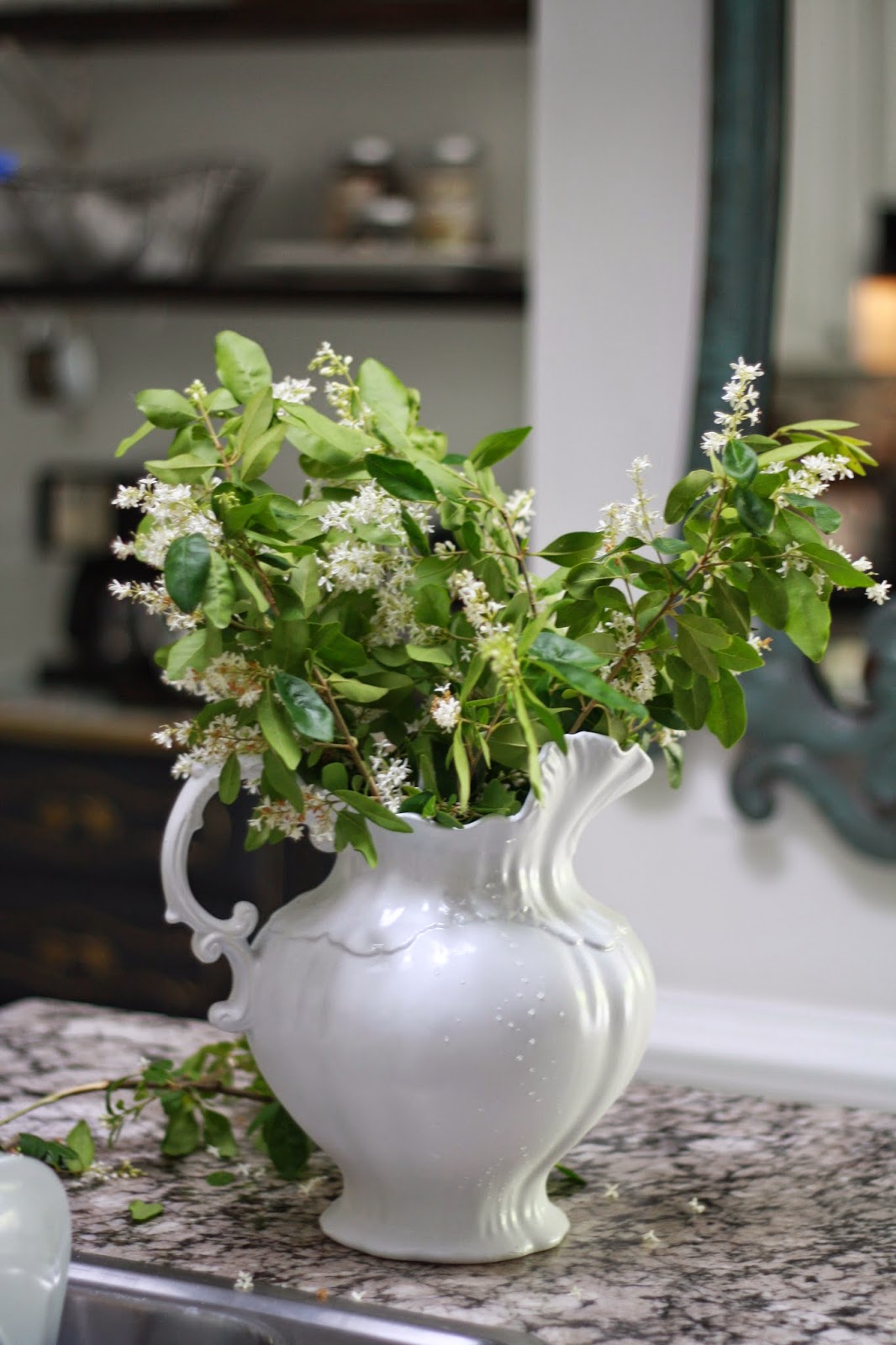The little white cottage in the woods: The Privet flower...