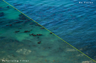 Than in NZ: Polarizing Filter test