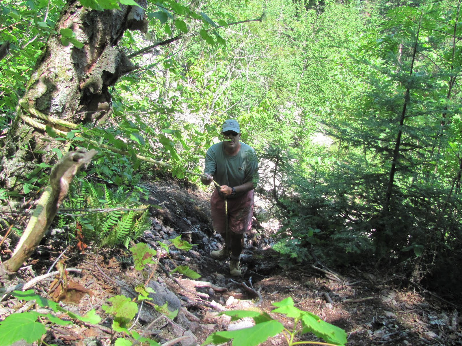 Cruising on M/V Monarch