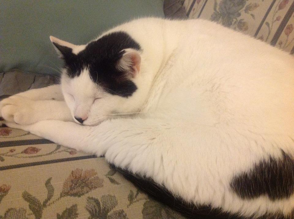 The Oland Girls Craft