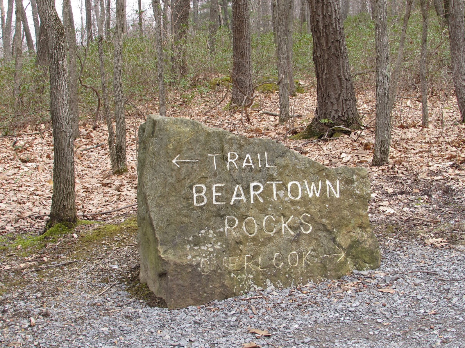 Beartown Rocks: A Rock City in Clear Creek State Forest, Jefferson ...