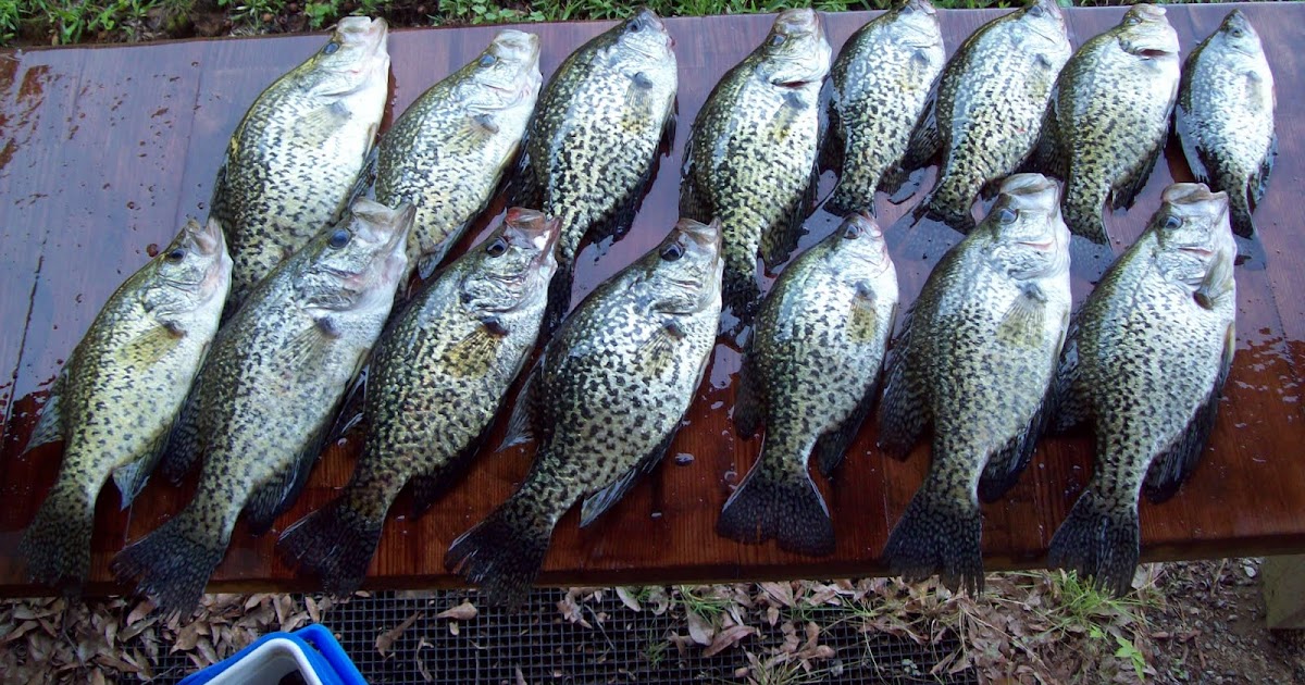 Fishing Through Life: Landing Slab Crappie on Legion Lake Fishing With ...