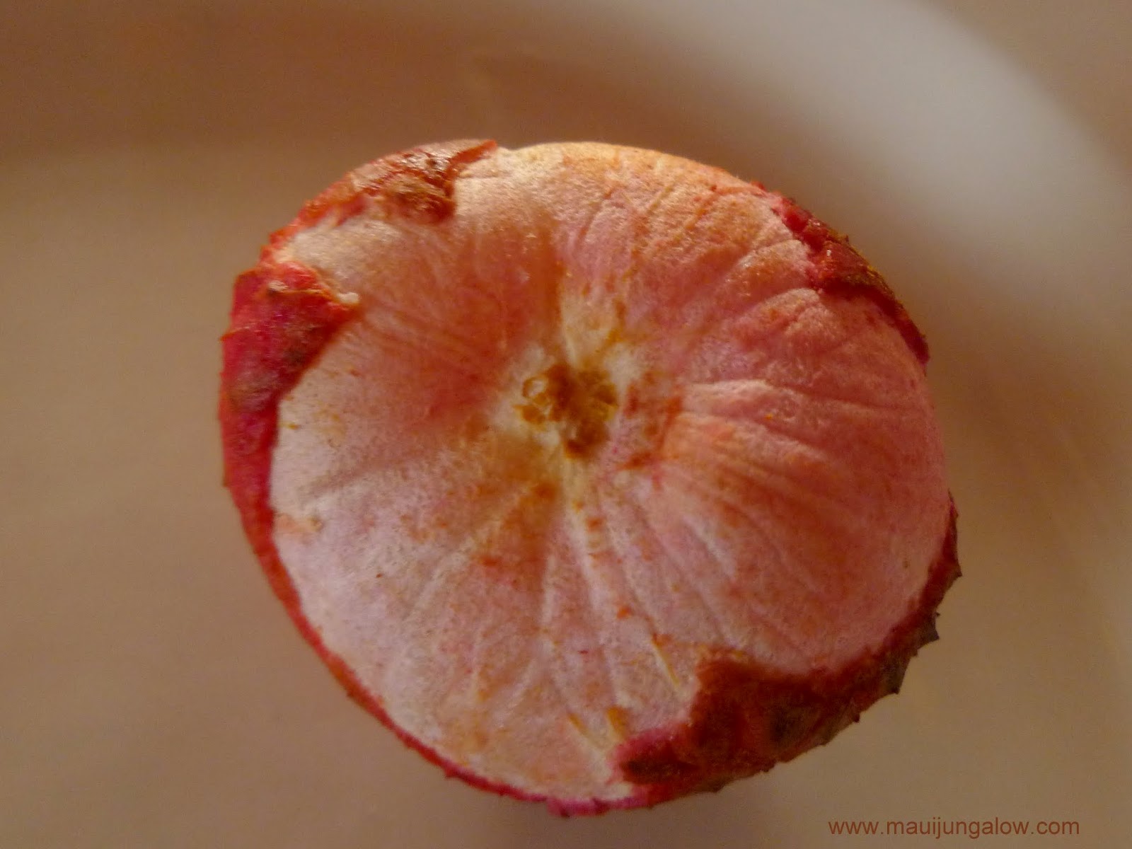 Maui Jungalow: Lychee Season and a Story