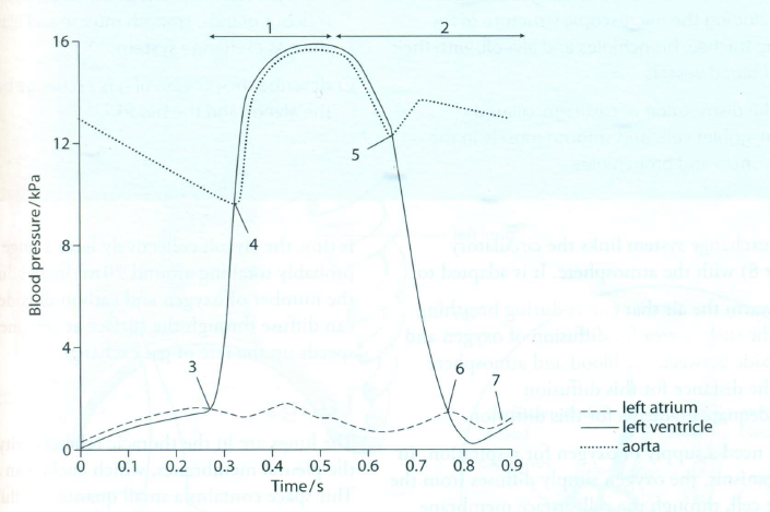 #48 Summary of The mammalian heart | Biology Notes for A level