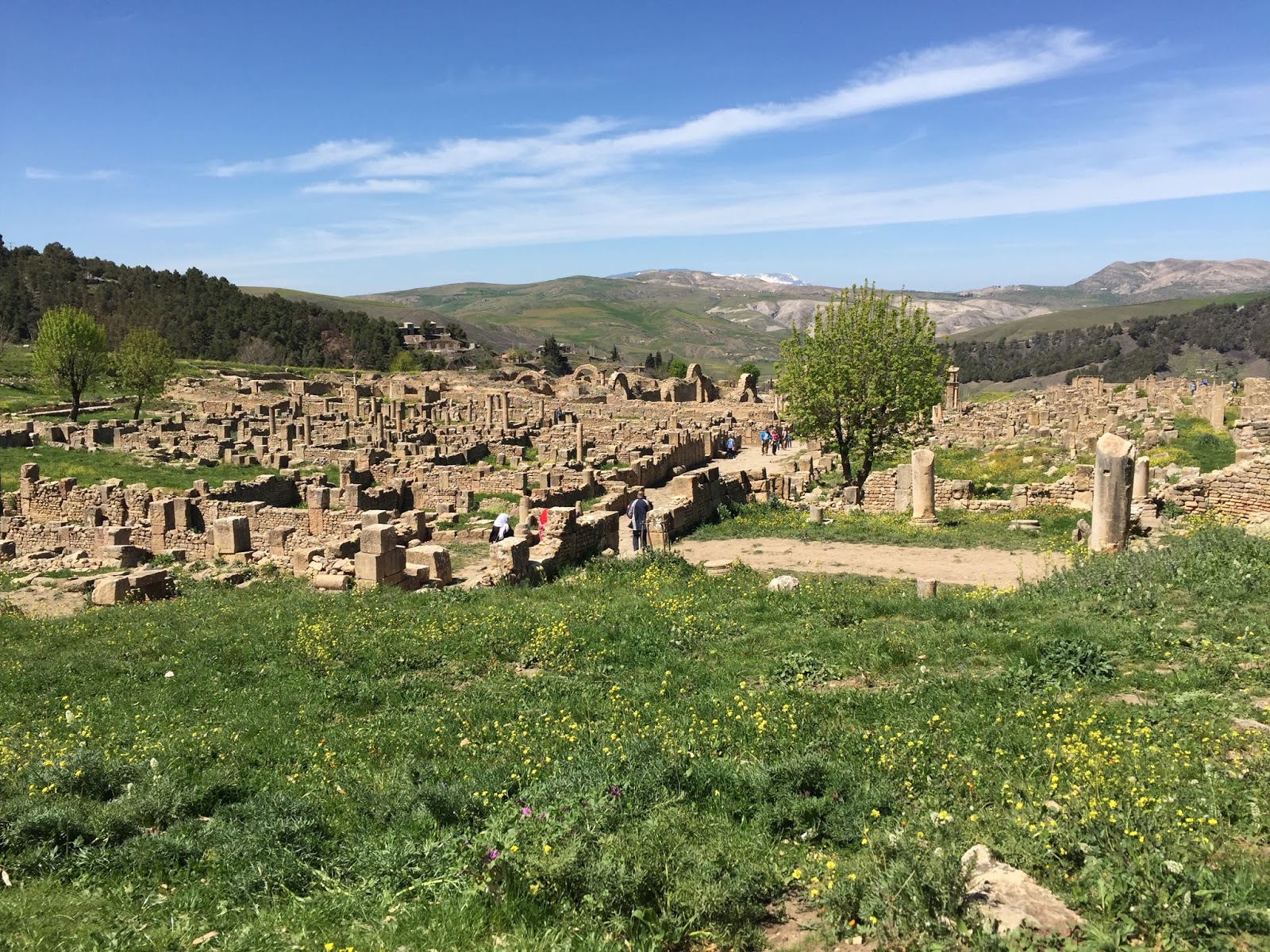 Tocho T8: Djemila (Cuicul, ciudad romana en Argelia), entre el comercio ...