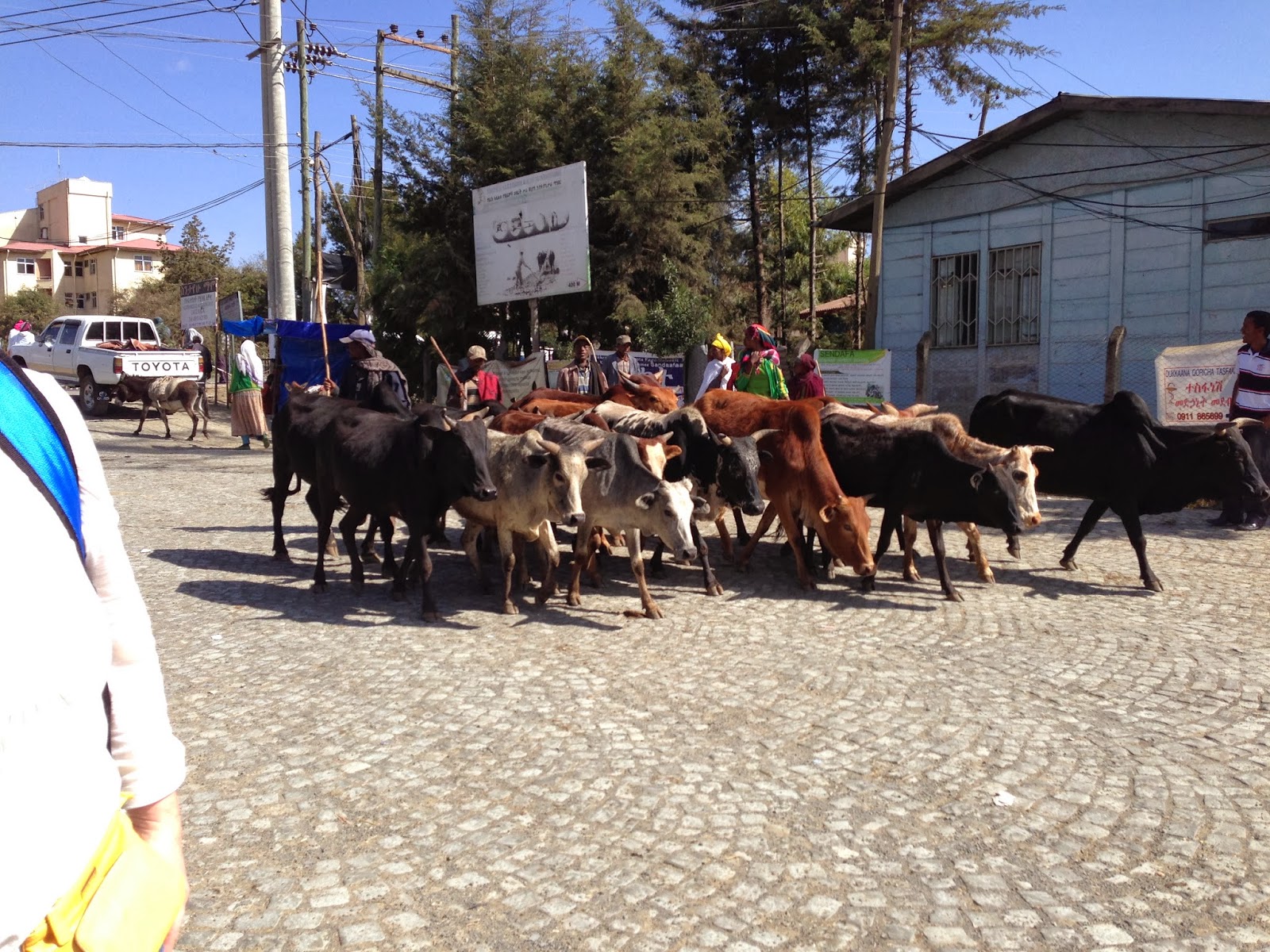 Missions trip to Sendafa, Ethiopia: February 2014