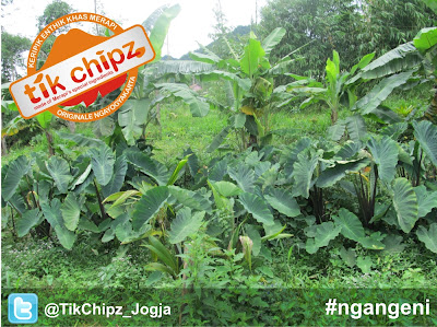 Mengenai Enthik | | Tik Chipz Jogja