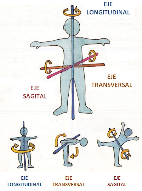 3º y 4º de Primaria. EDUCACIÓN FÍSICA. Tema 4 "Habilidades Motrices II"