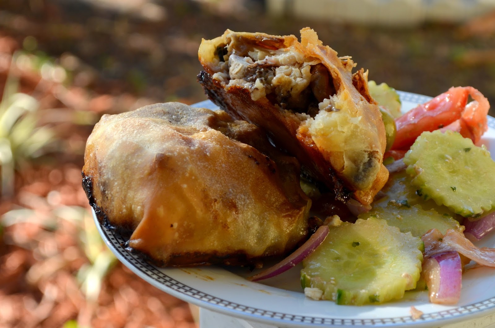 bebina kuhinjica: Cora burek