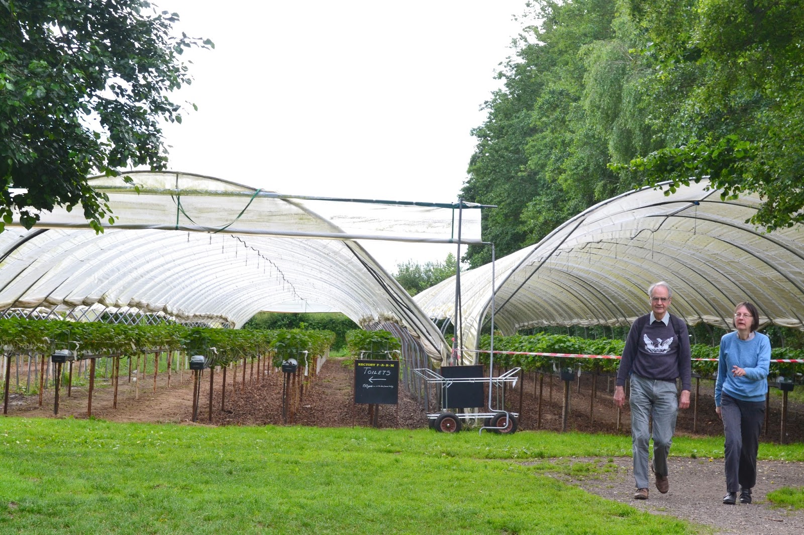 Strawberry Picking Di Rectory Farm Oxford London. - Dapur Kak Noor