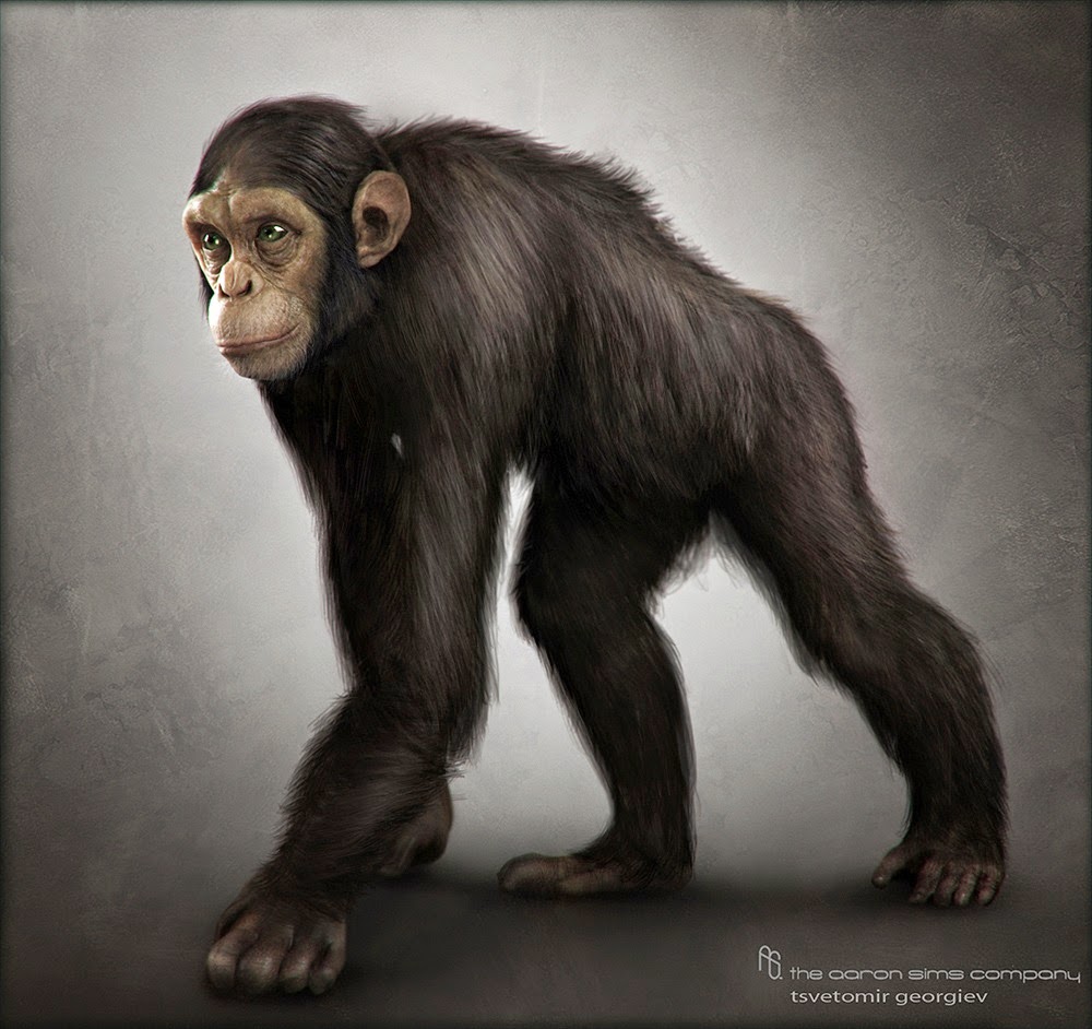 Cineptimo Arte: Analisis de El planeta de los simios (R)Evolución) (2011)