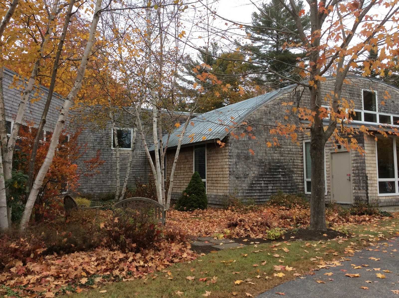 Life From The Roots: Freeport Community Library, Freeport, Maine ...