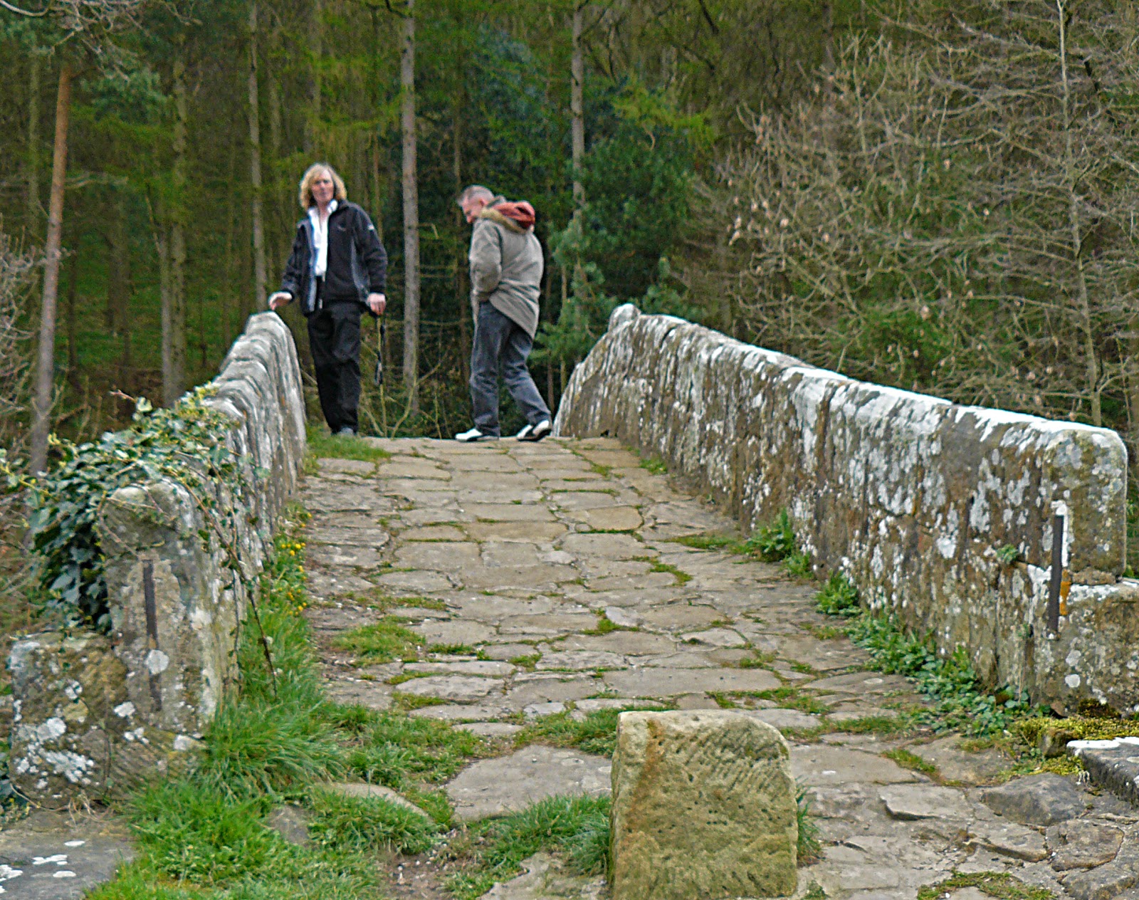 IMAGECAPTURER.: BEGGARS BRIDGE----GLAISDALE.