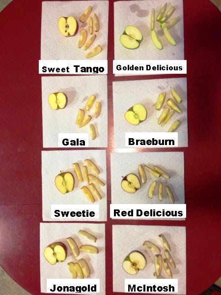 Apple Taste Test 2014