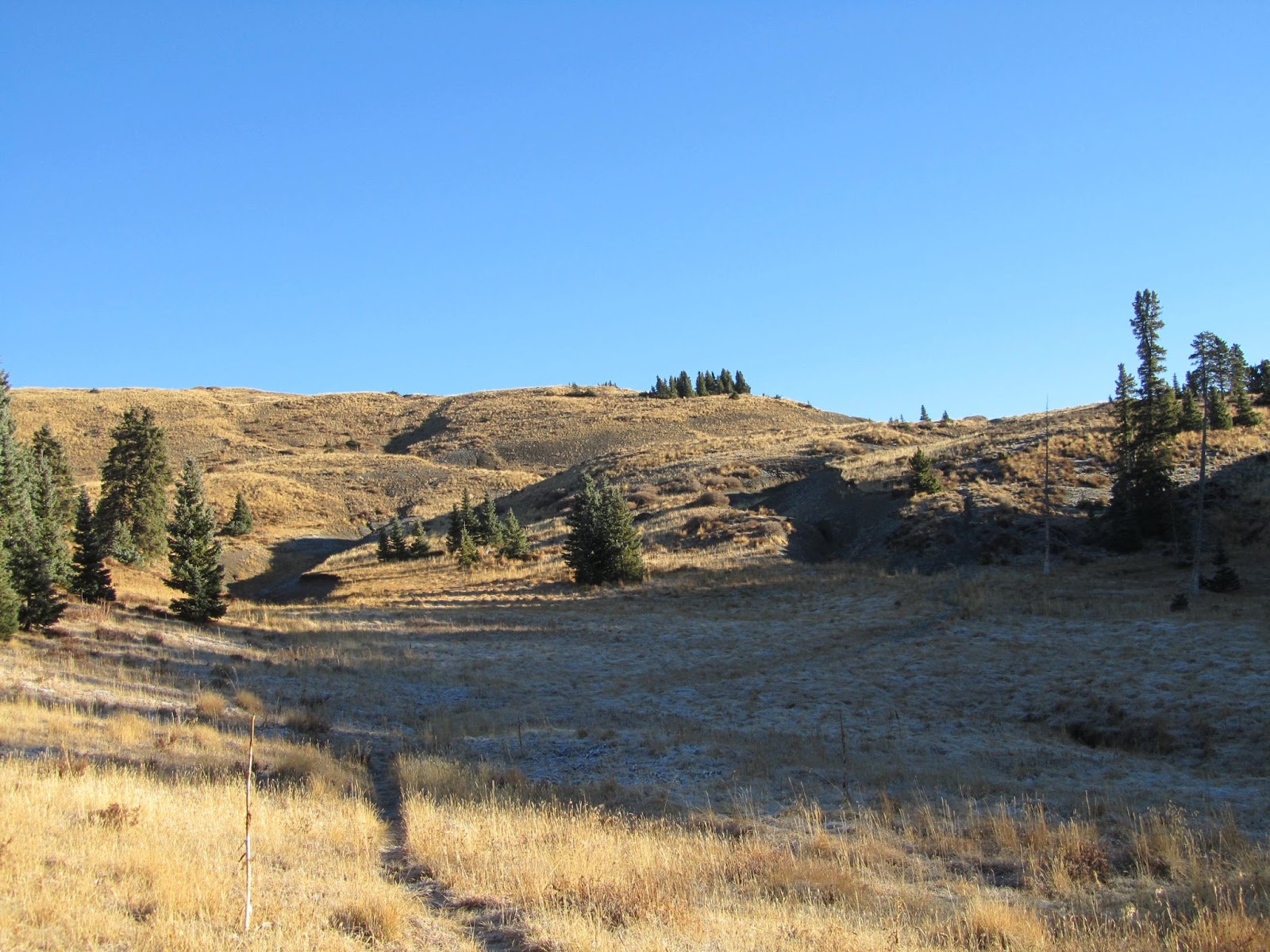 Tomcat's Outdoor Adventures: Backpacking New Mexico's Pecos Wilderness