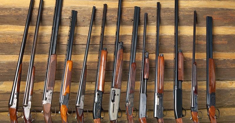 Best Shotguns for Hunting - Hunting Channel