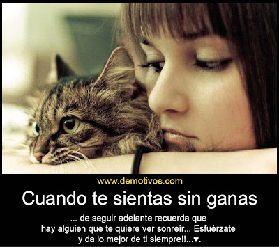 Desmotivaciones de Amor: Cuando te Sientas sin Ganas de Seguir Adelante ...