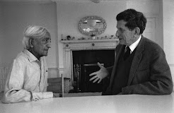 Contra el progreso: La teoría sueca del amor - Erik Gandini