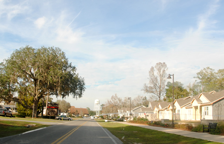 Desolation Florida: Dowling Park