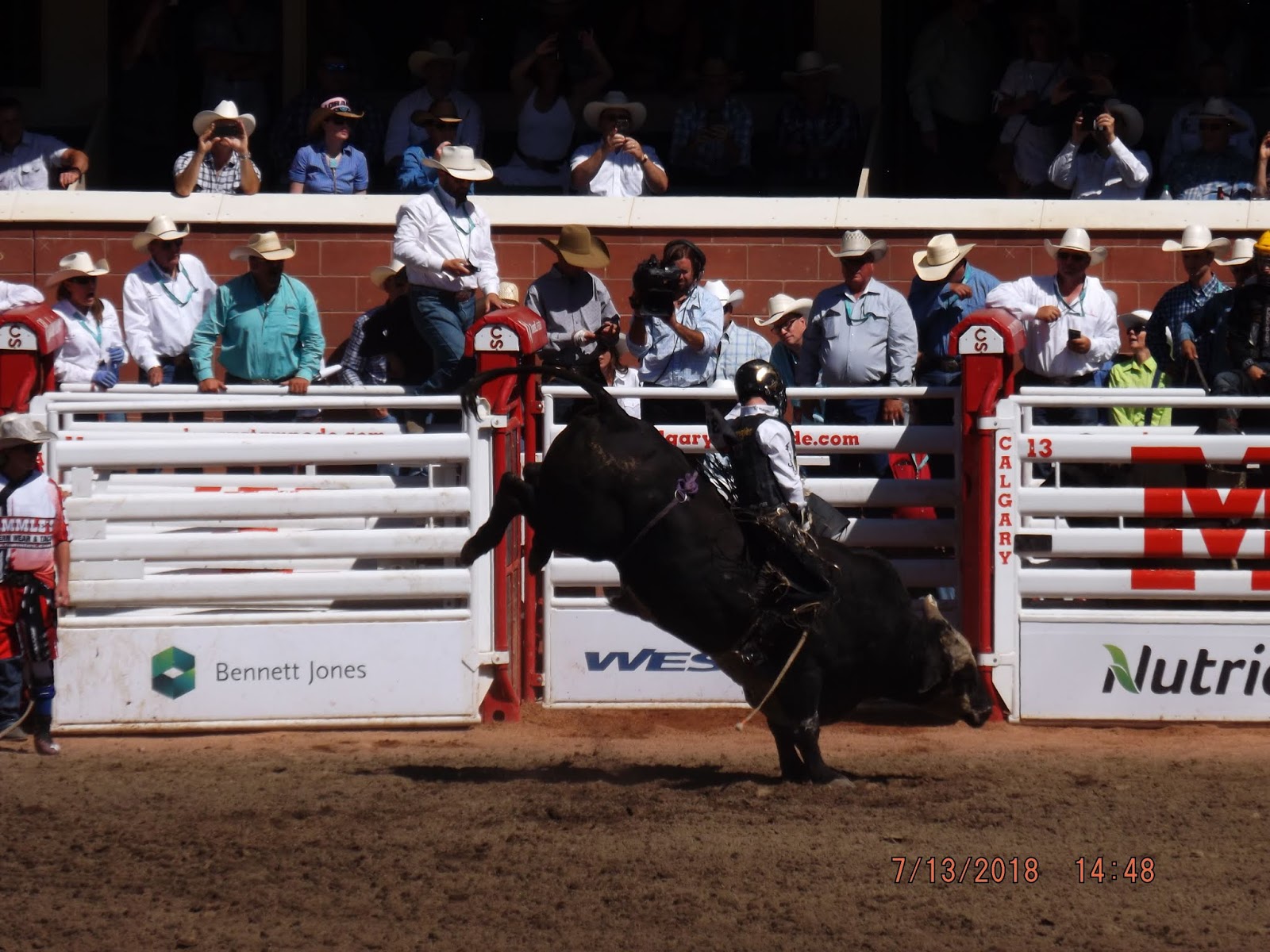 Up to Speed: Calgary Stampede Rodeo