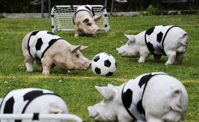 Strange Culture: Pigs in Costumes