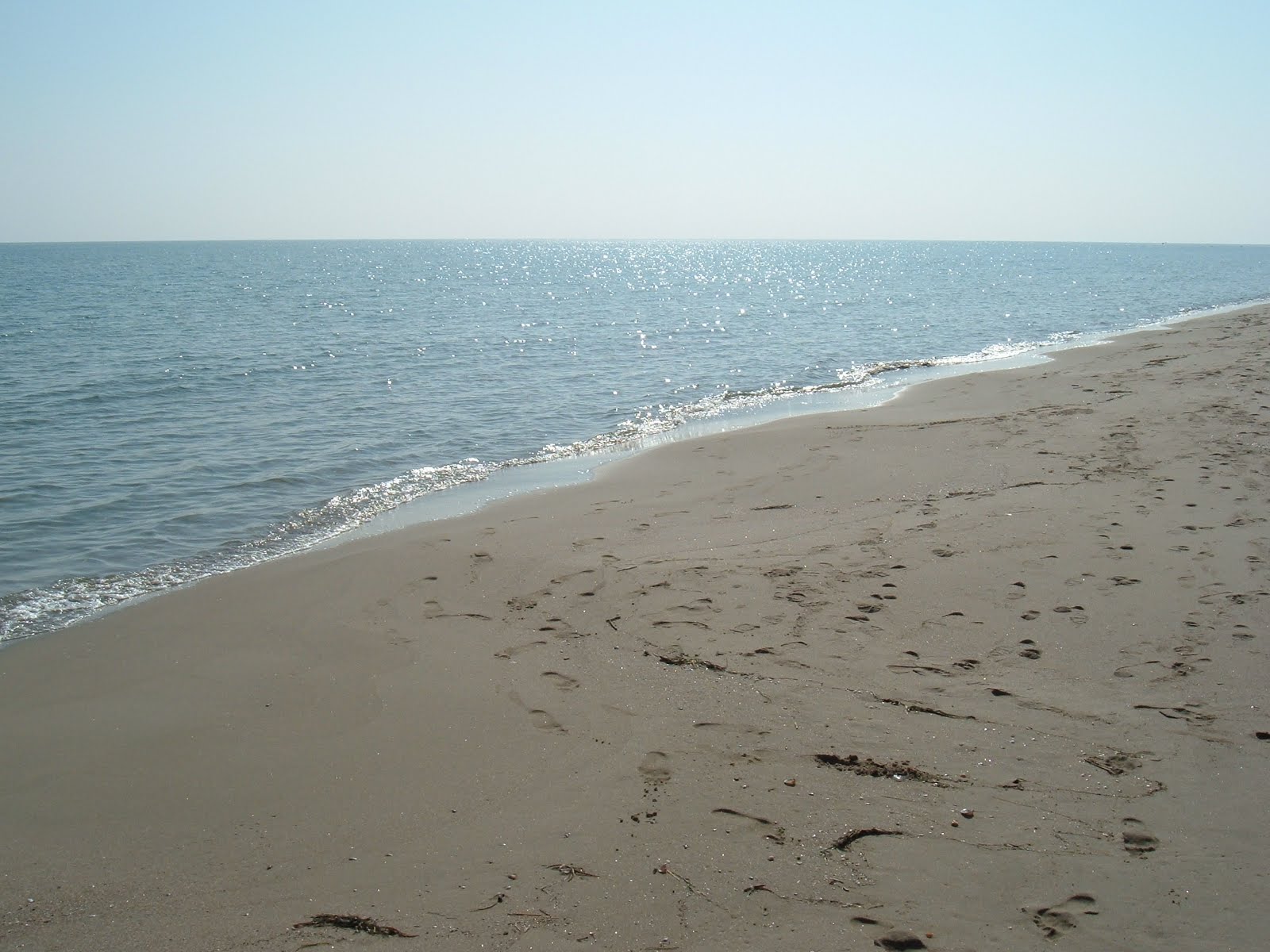 Foto Italia: Metaponto - Mar Ionio - Basilicata