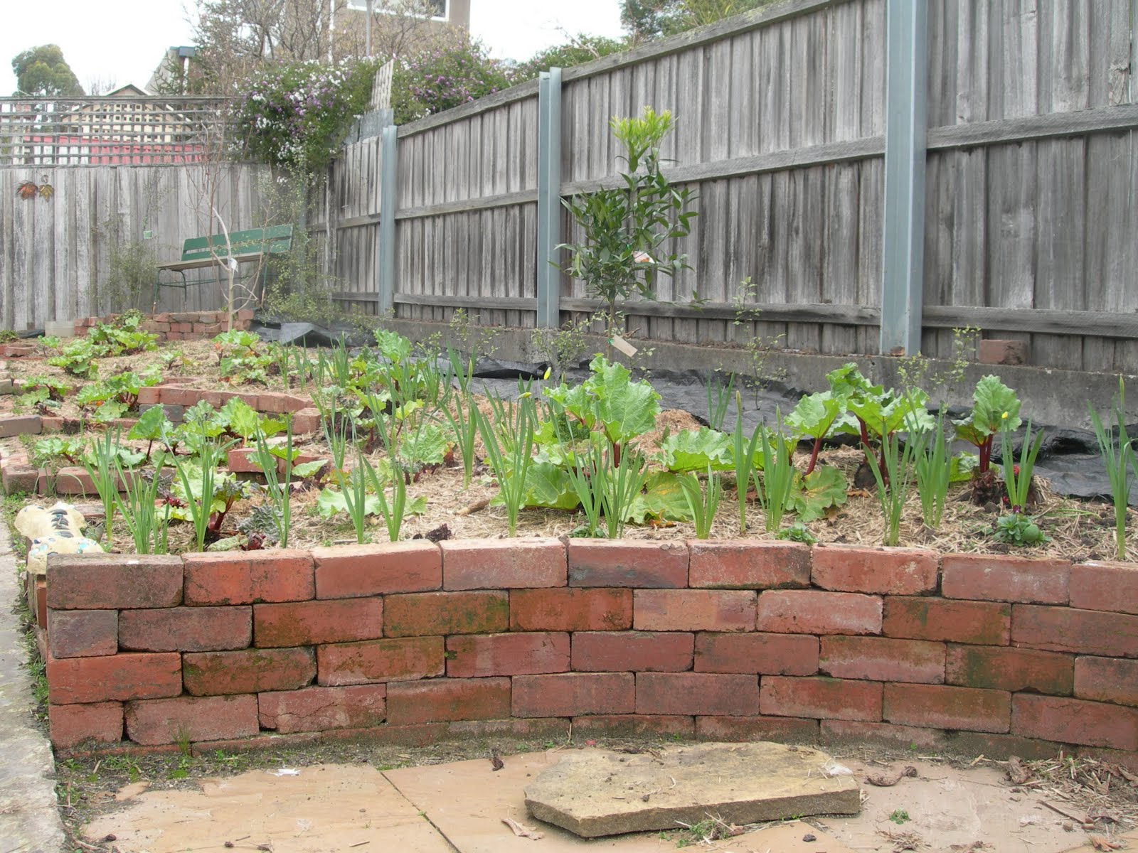 Polystyrene Garden Junkie: 2011