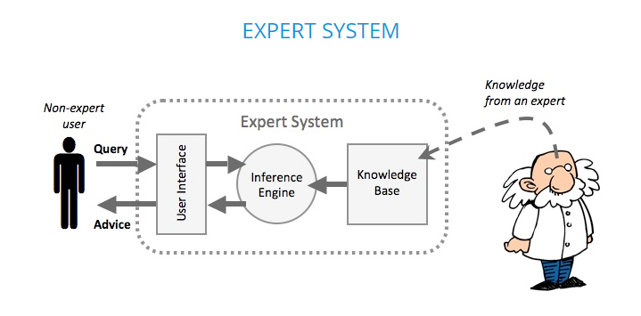 EXPERT SYSTEM