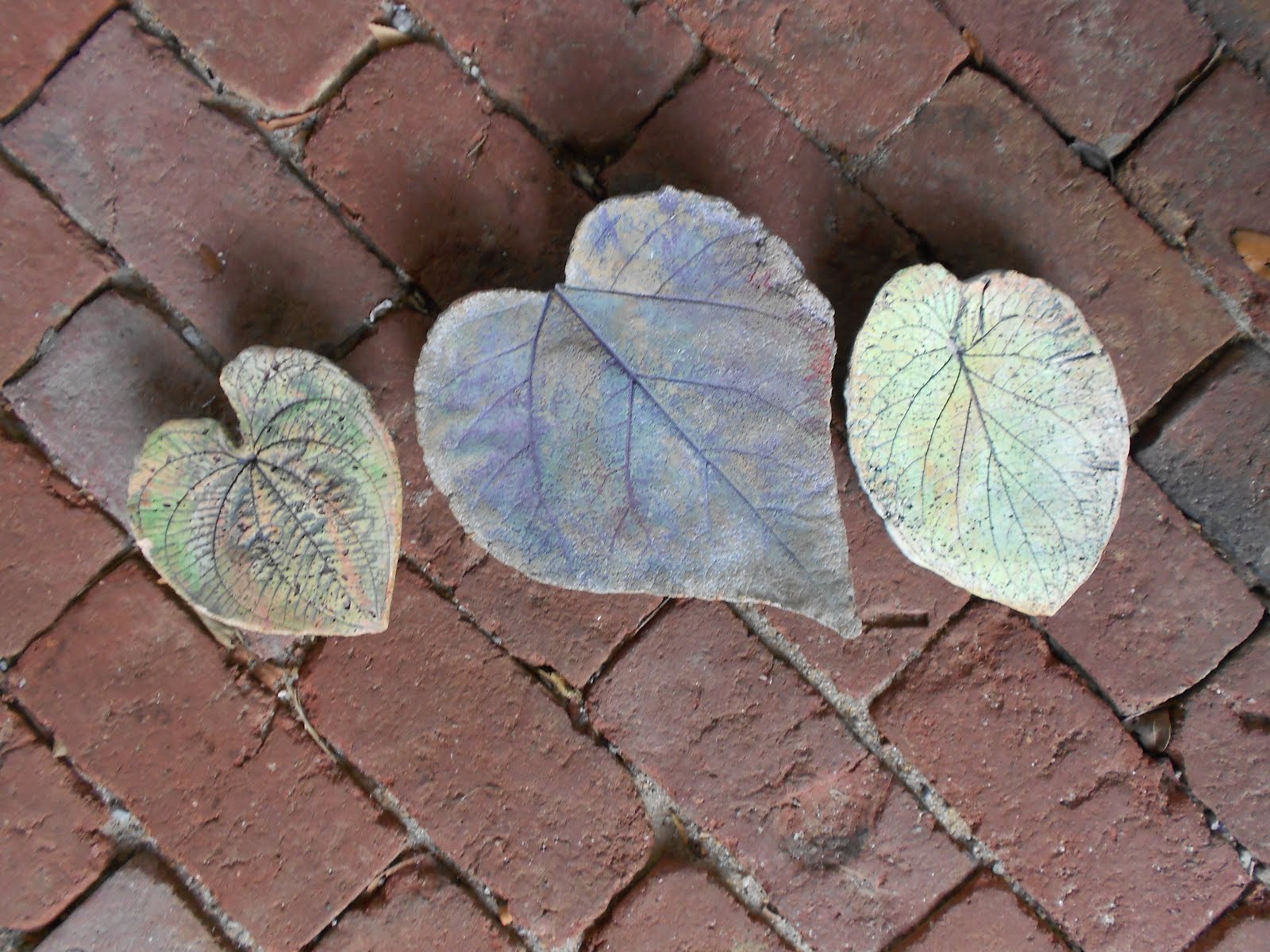 Cypress Gardens - the Gardeners Blog: Hypertufa and Sand-Cast Leaf ...