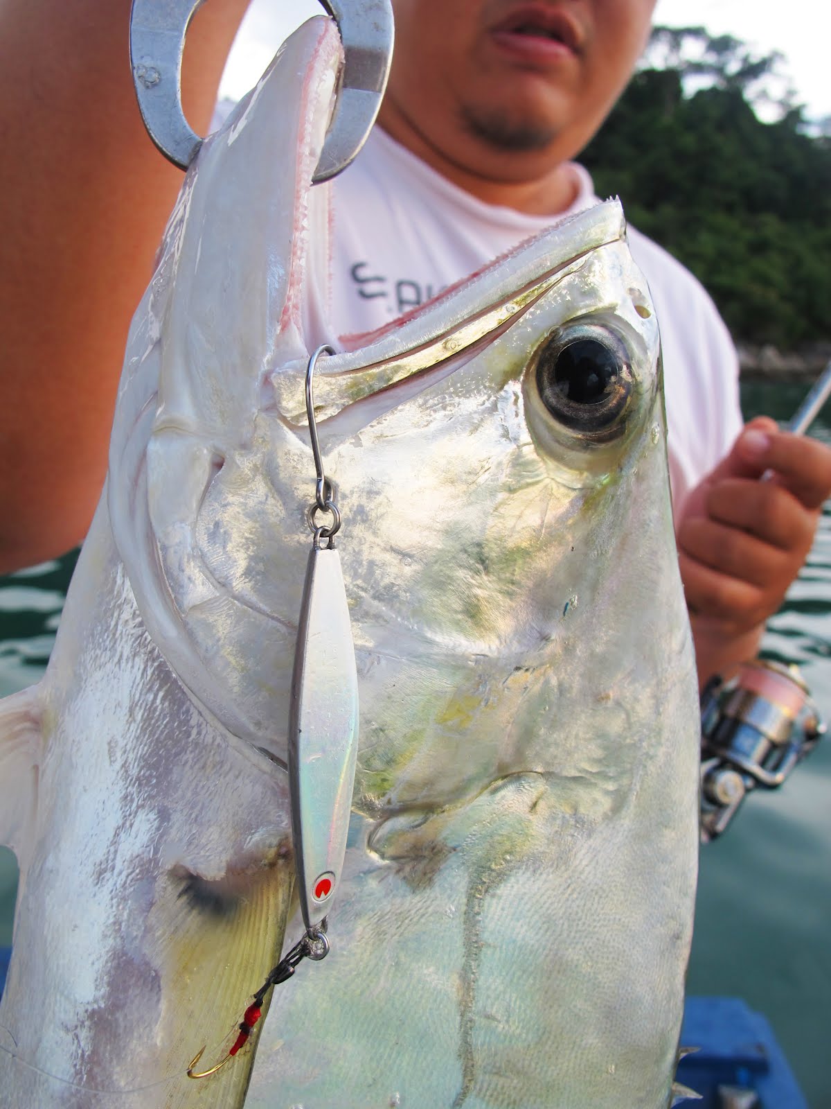 Ima Singapore: Our catches on Ima Gun