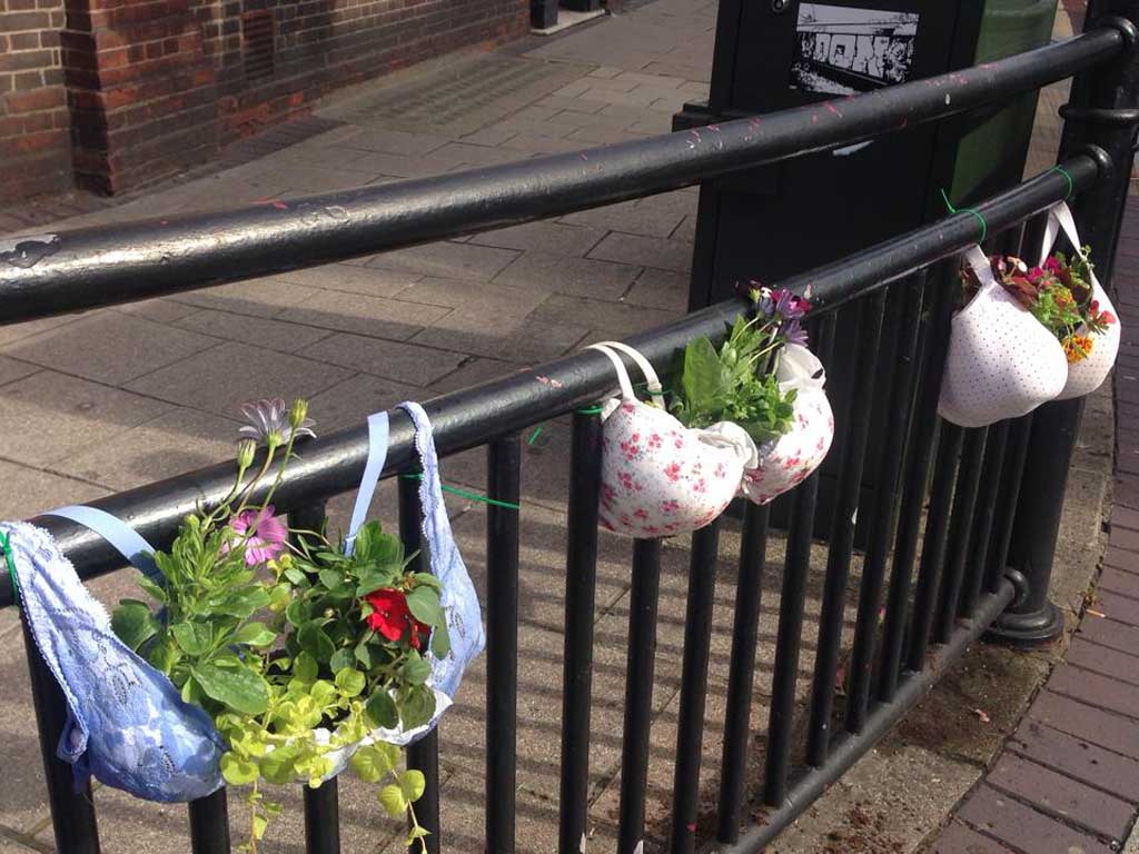 Nothing To Do With Arbroath: Women's Institute have installed bras ...
