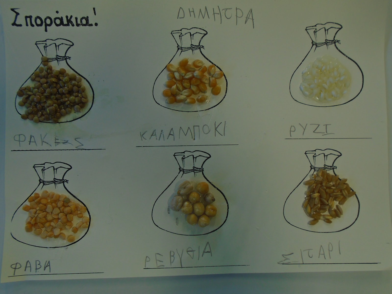 5 ΝΗΠΙΑΓΩΓΕΙΟ ΚΑΛΑΜΑΤΑΣ : ΔΡΑΣΤΗΡΙΟΤΗΤΕΣ ΚΑΙ ΚΑΤΑΣΚΕΥΕΣ ΓΙΑ ΤΗΝ ΣΠΟΡΑ