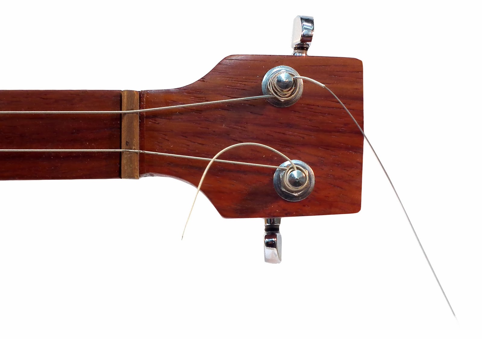 purorockcacharrosmusicales: CachaRock