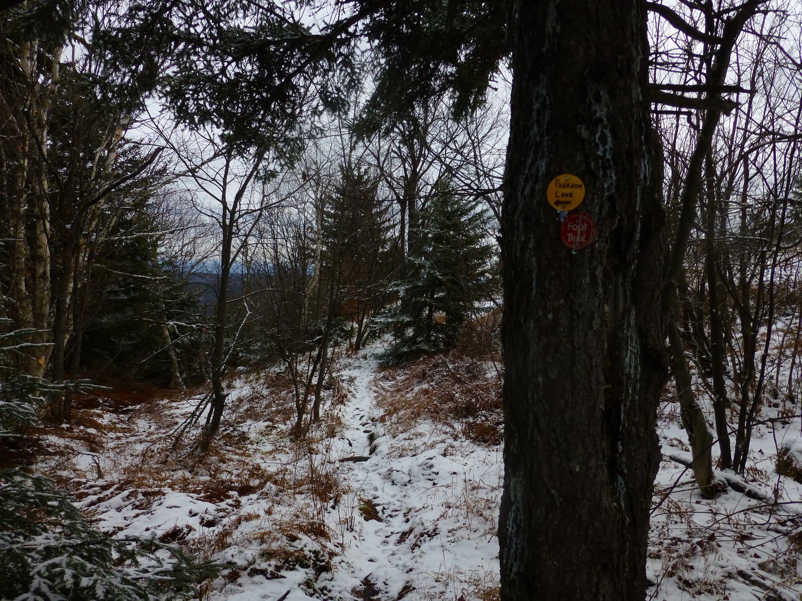 Off on Adventure: Pharaoh Mountain - Pharaoh Lakes Wilderness - 11/11/13